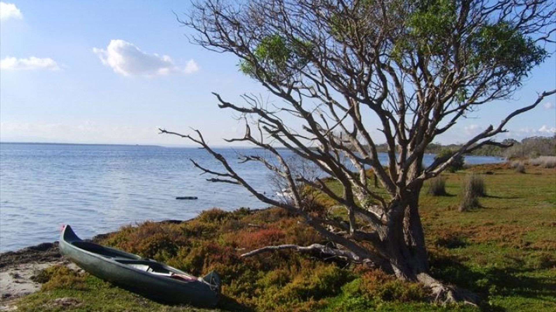 Emu Bight | Gippsland Lakes Classic Boat Club